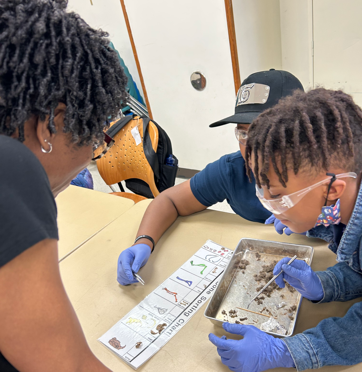 THE BIOME DIFFERENCE – The Biome School